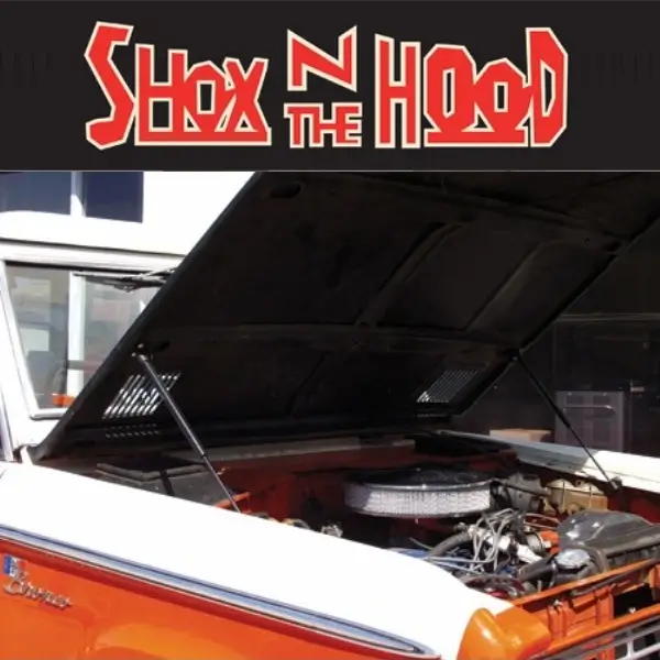 Shox N The Hood Black Hydraulic Hood Props 66-77 Bronco